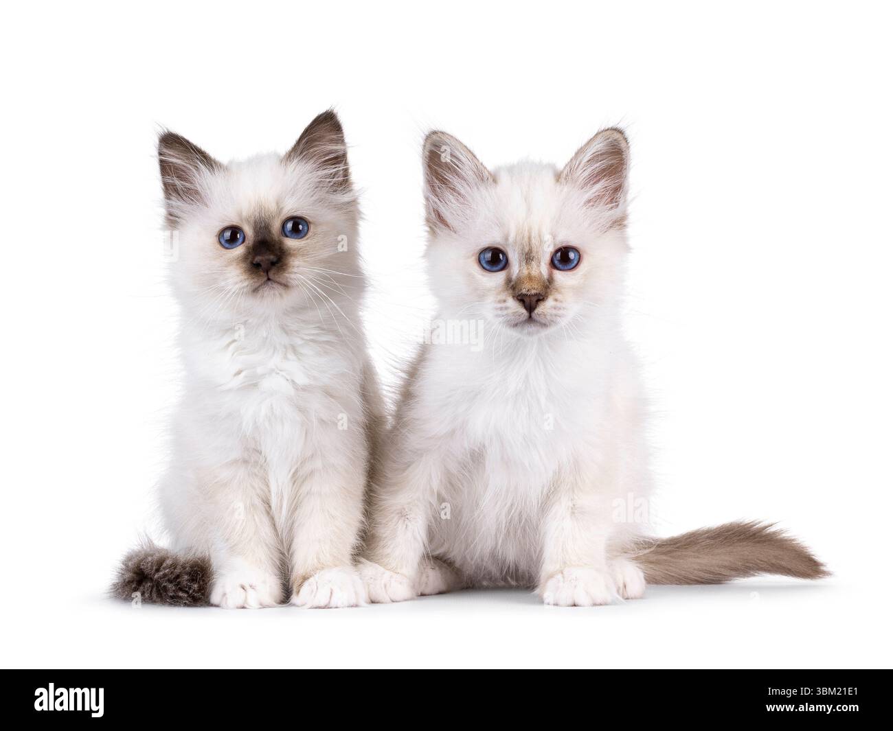 Set beside Cut Out Stock Images & Pictures - Alamy