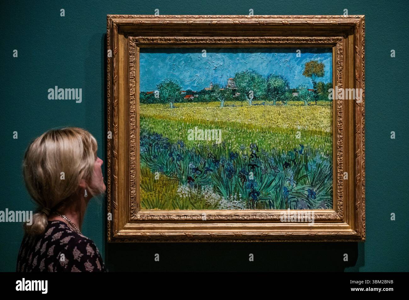 Van gogh field with irises near arles hi-res stock photography and ...