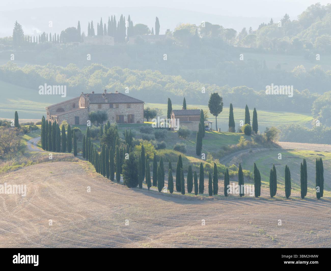Traditional Tuscan Farmhouse with Cypress Tree Avenue in Misty Rolling ...