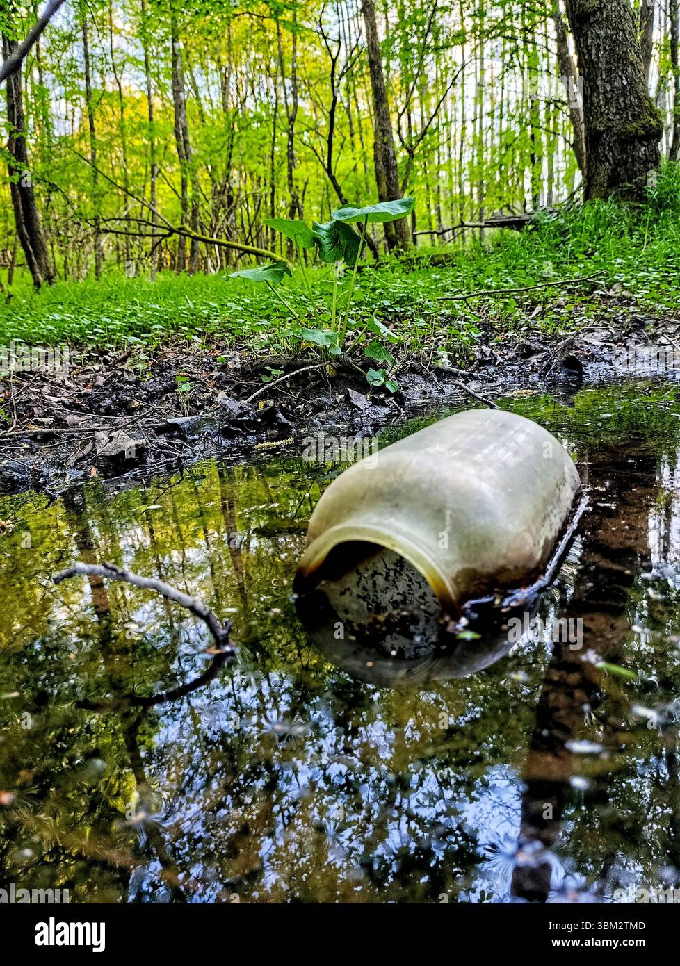 trash jar in the forest Stock Photo - Alamy