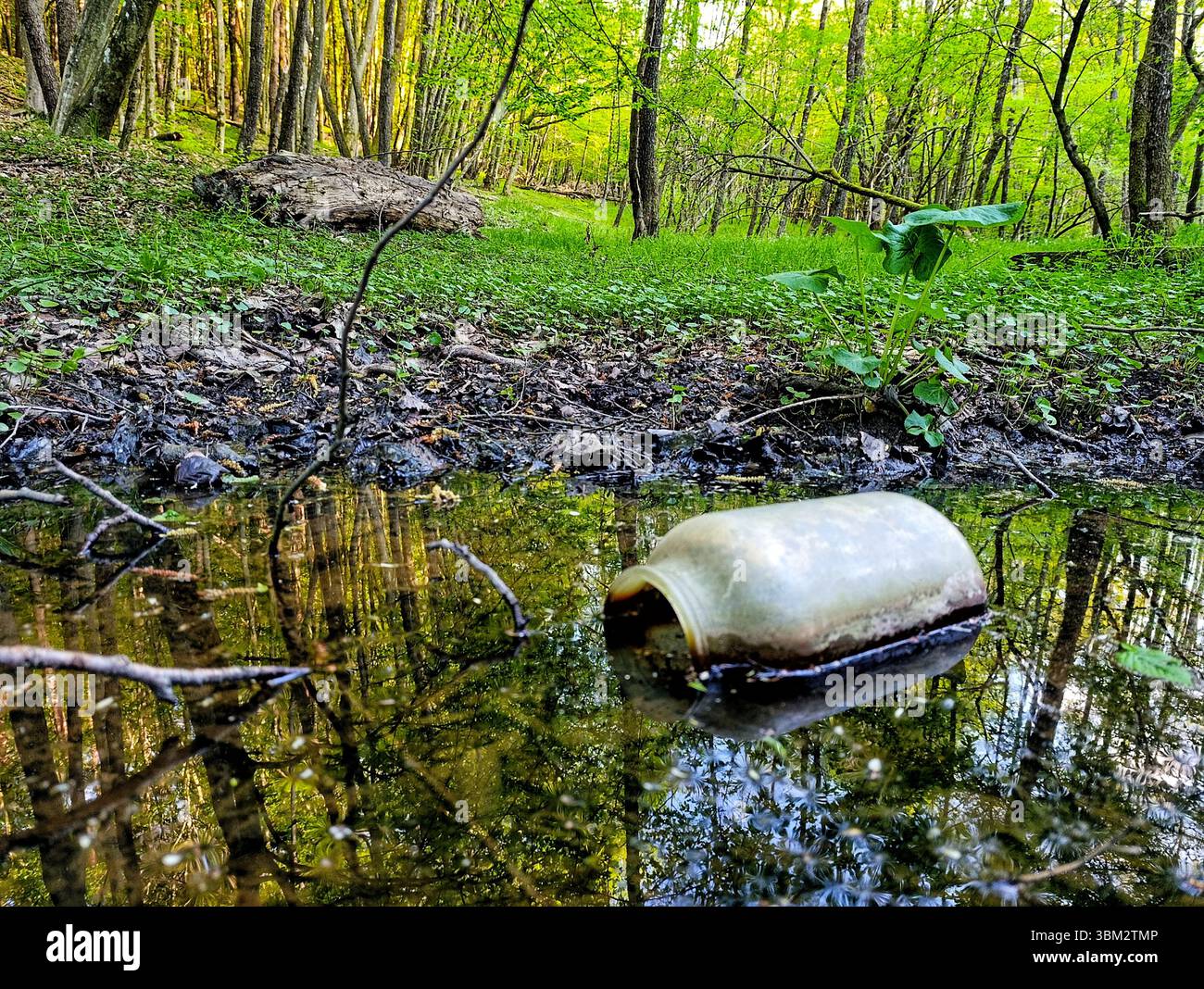 trash in the forest Stock Photo - Alamy