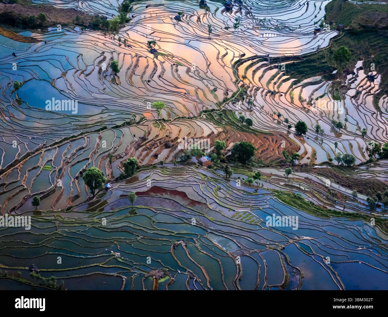 China's UNESCO Hani Rice Terraces, Yunnan, with a Panoramic View of the ...