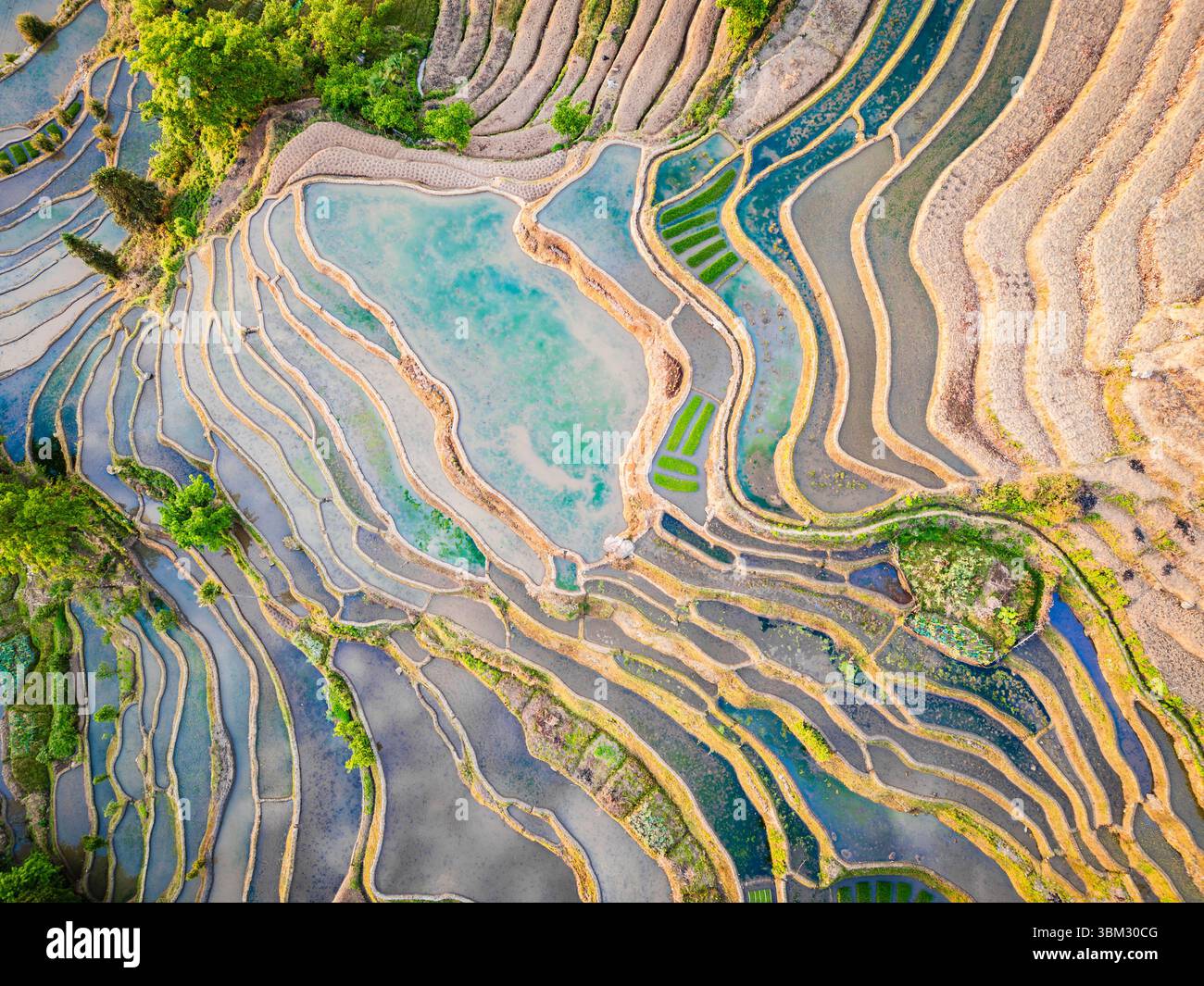 China's UNESCO Hani Rice Terraces, Yunnan, with a Panoramic View of the ...