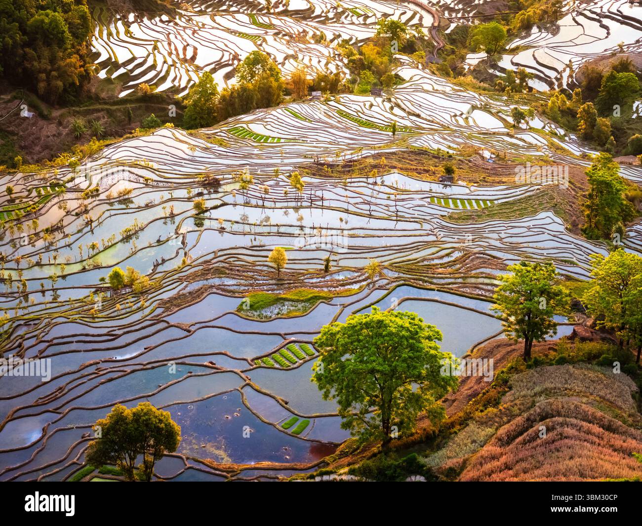 China's UNESCO Hani Rice Terraces, Yunnan, with a Panoramic View of the ...