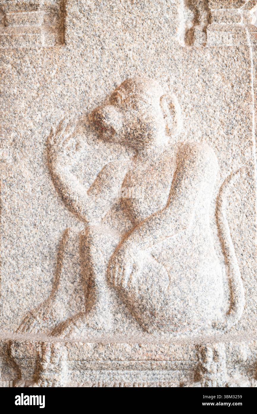 Stone carving of monkey god Hanuman, Virupaksha temple, Hampi, hinduism ...