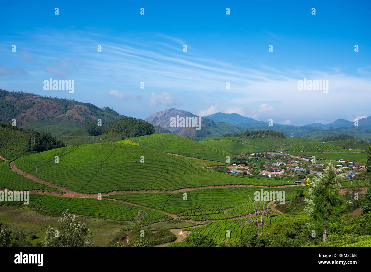 Munnar city with tea plantation, South India, landscape with fields in ...