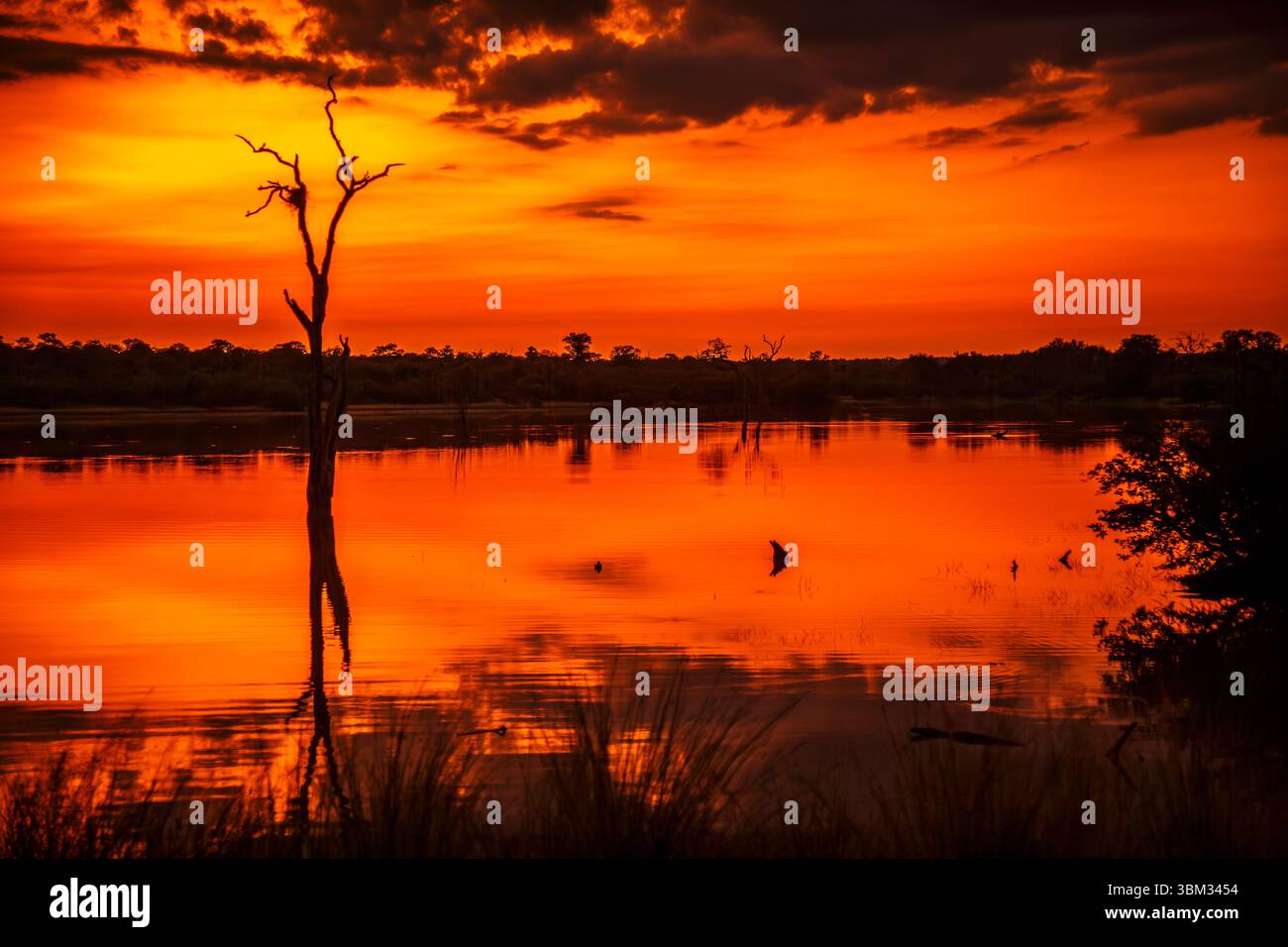 Sunrise from sable dam hide in Greater Kruger National park, South ...