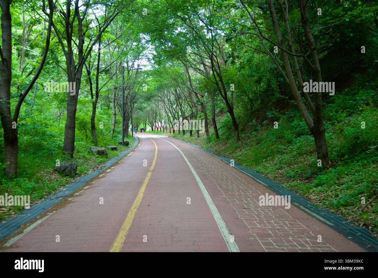 Namyangju City, South Korea - May 19th 2025: The Bukhangang Bike Path ...