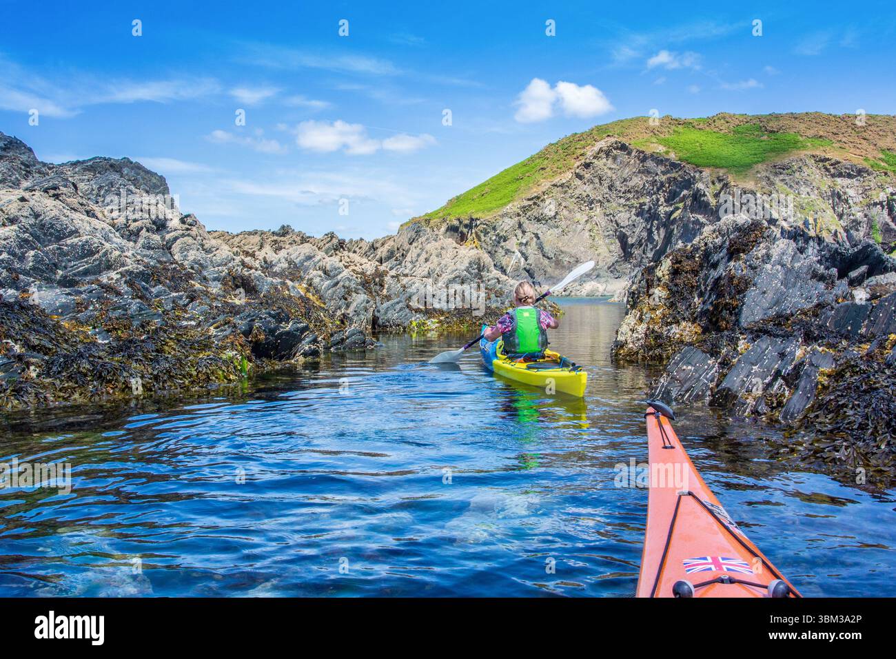 A woman paddling a sea kayak on the Pembrokeshire coast near Dinas Head, Wales Stock Photo - Alamy