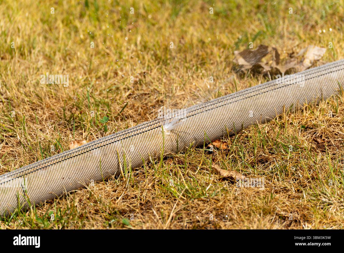 Leaking fire hose on hi-res stock photography and images - Alamy