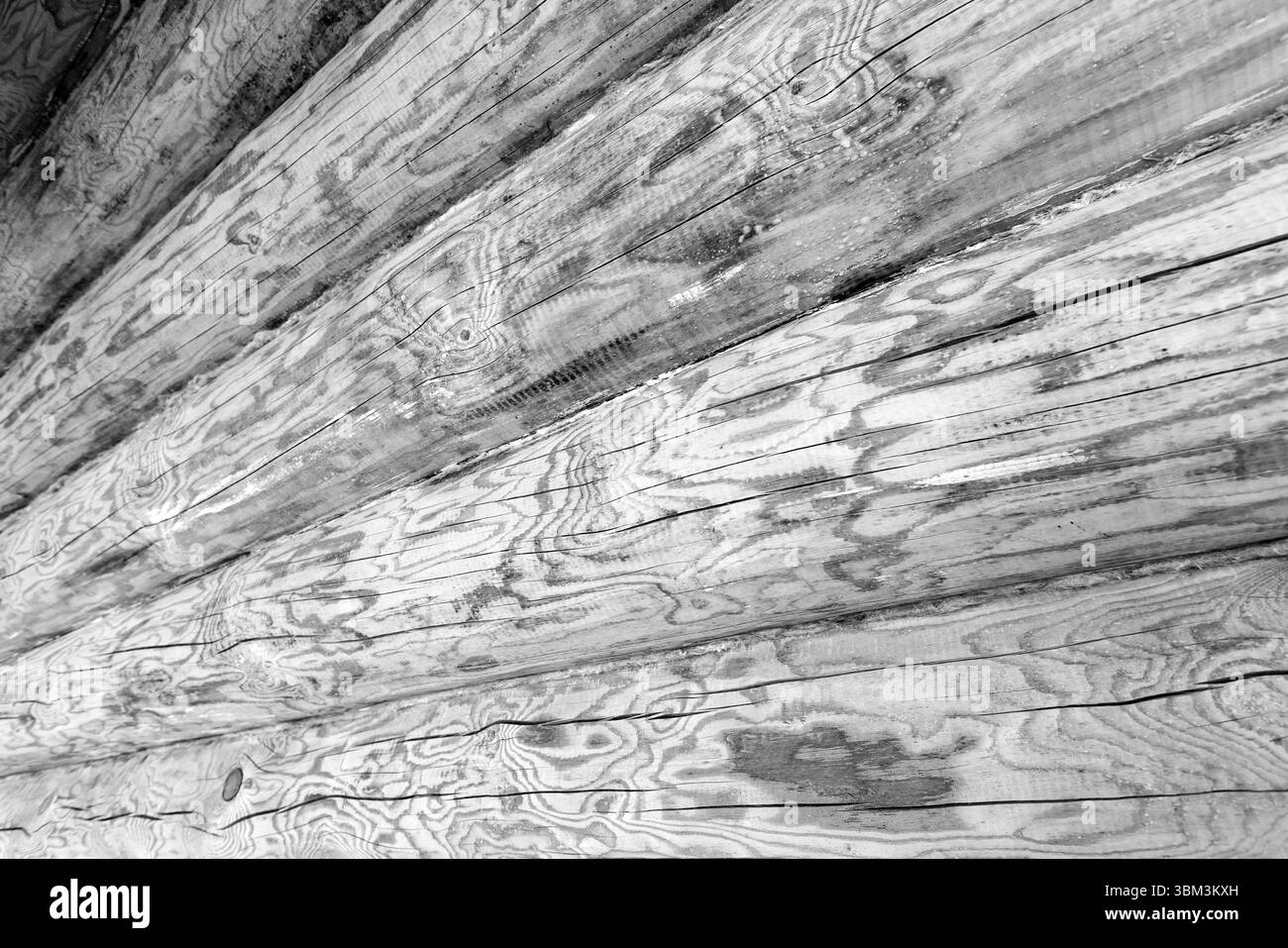 Rustic white wooden logs with distinct patterns and textures, showcasing natural weathering and ...