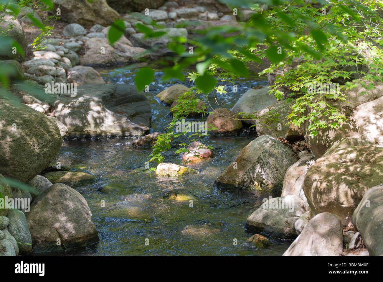 Natural stream flows quietly clear hi-res stock photography and images ...