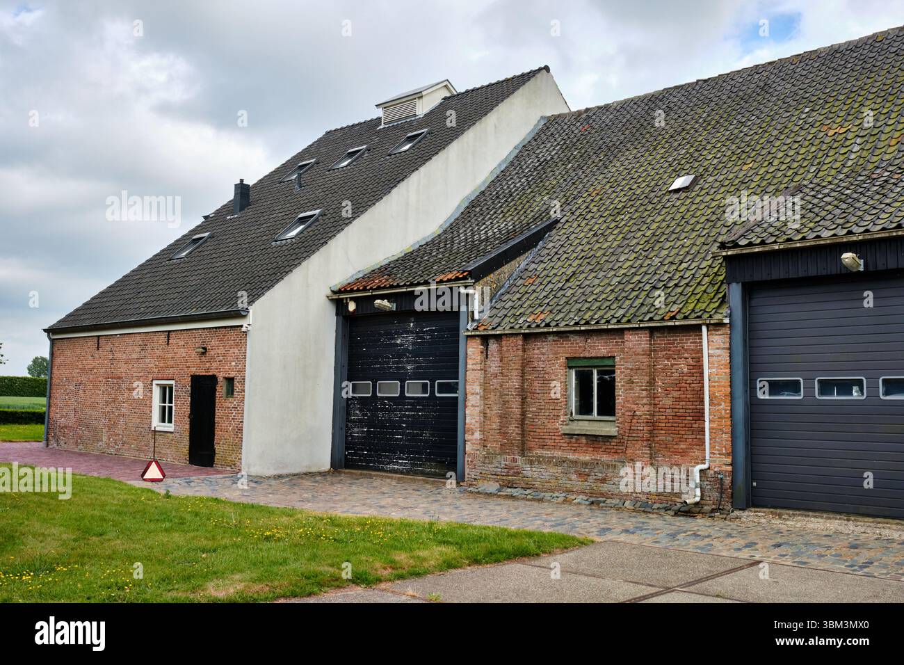 May 29, 2025 - Nieuwdorp-Netherlands: The last complete Dutch madder ...