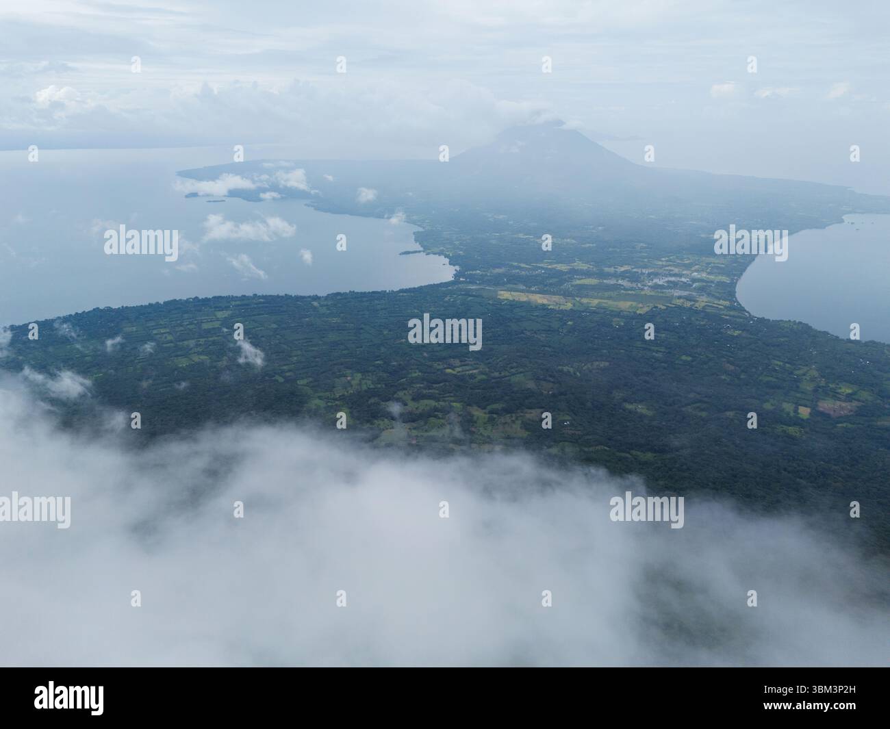 Lush greenery meets ocean shoreline hi-res stock photography and images ...