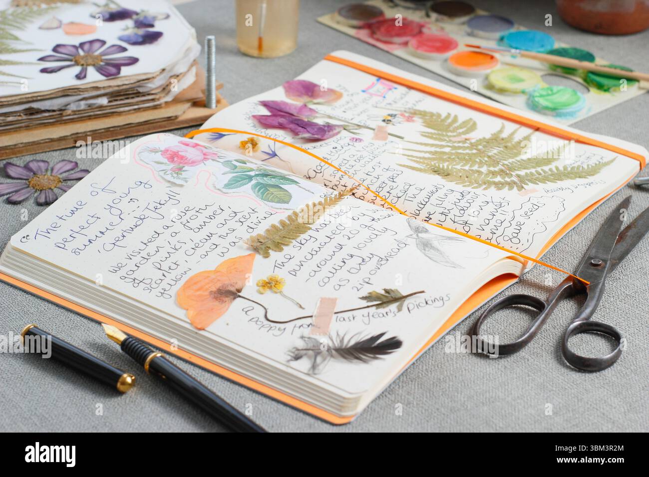Journaling. A woman's nature diary with pressed flowers, reflections on ...