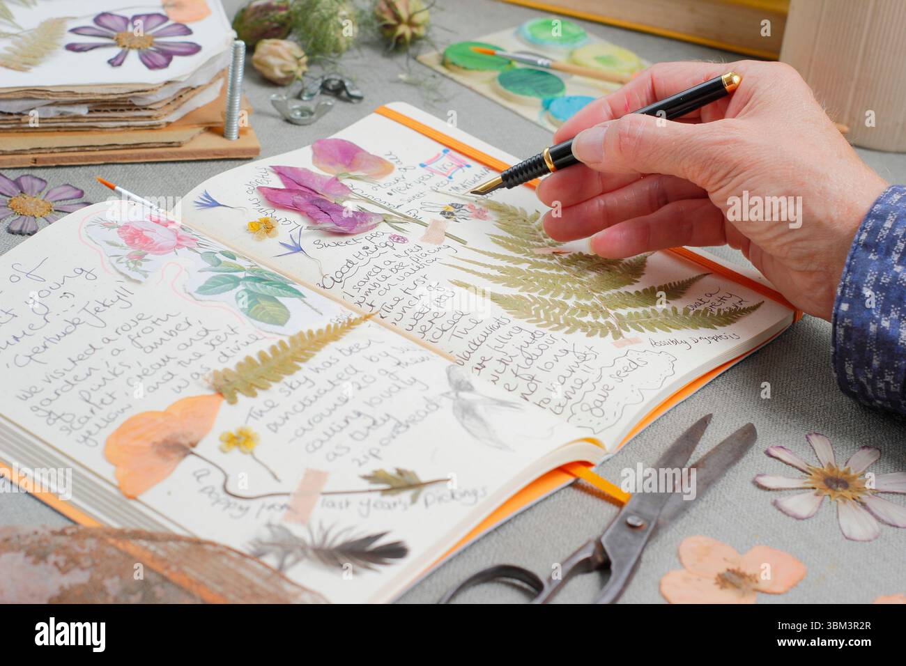 Journaling. A woman's nature diary with pressed flowers, reflections on ...