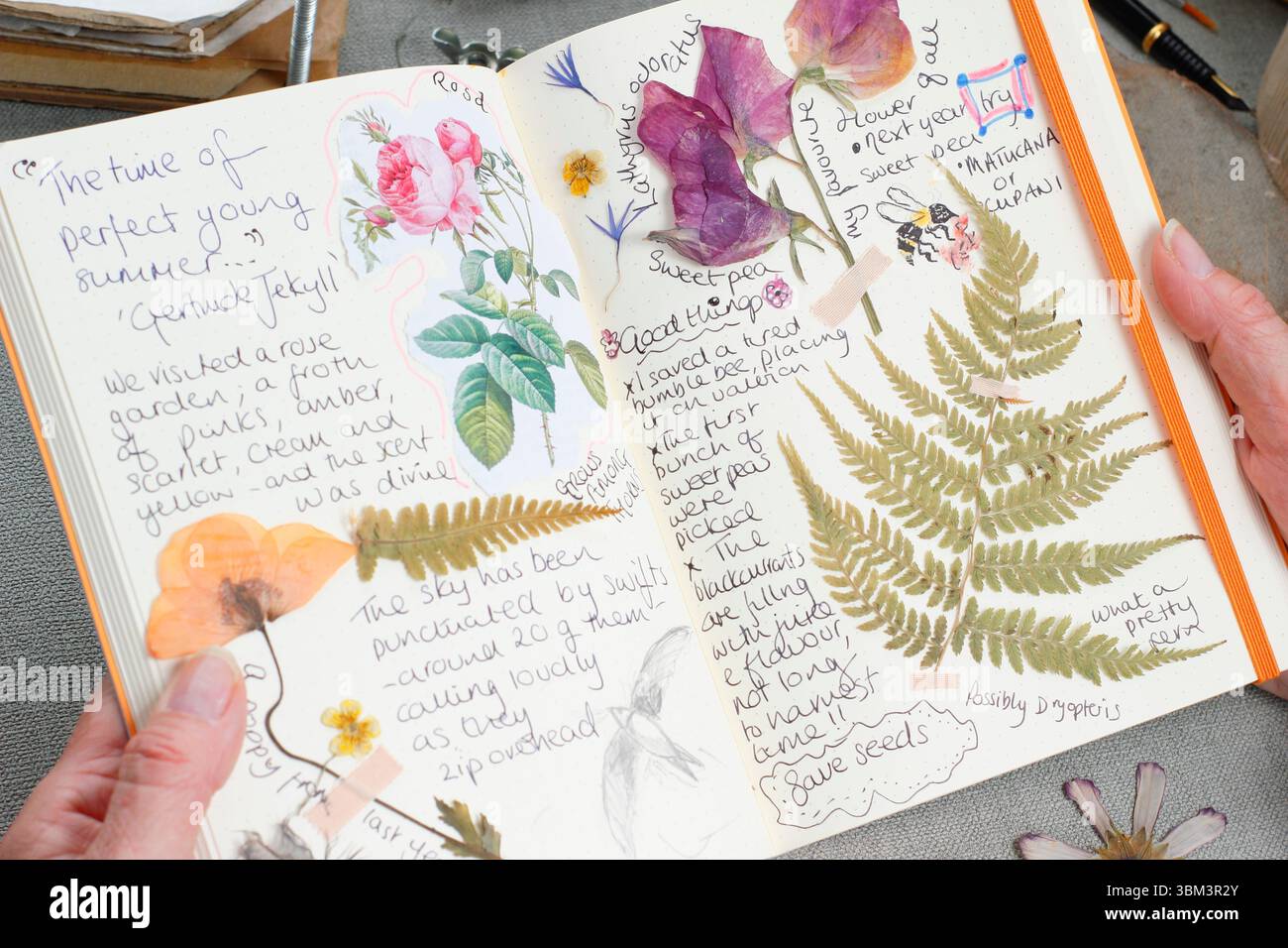 Journaling. A woman's nature diary with pressed flowers, reflections on ...