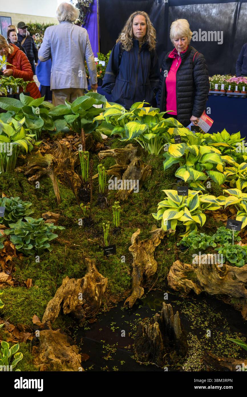 Brookfield Plants hostas display (horticultural event, 2 women ...