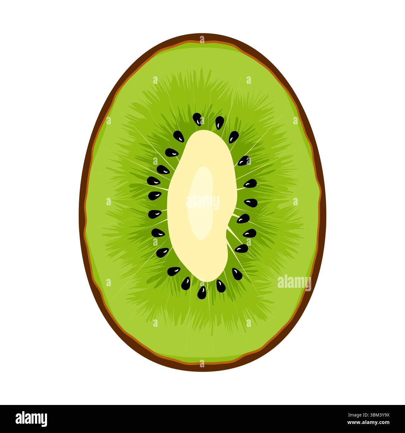 Vibrant radiating texture Stock Vector Images - Alamy