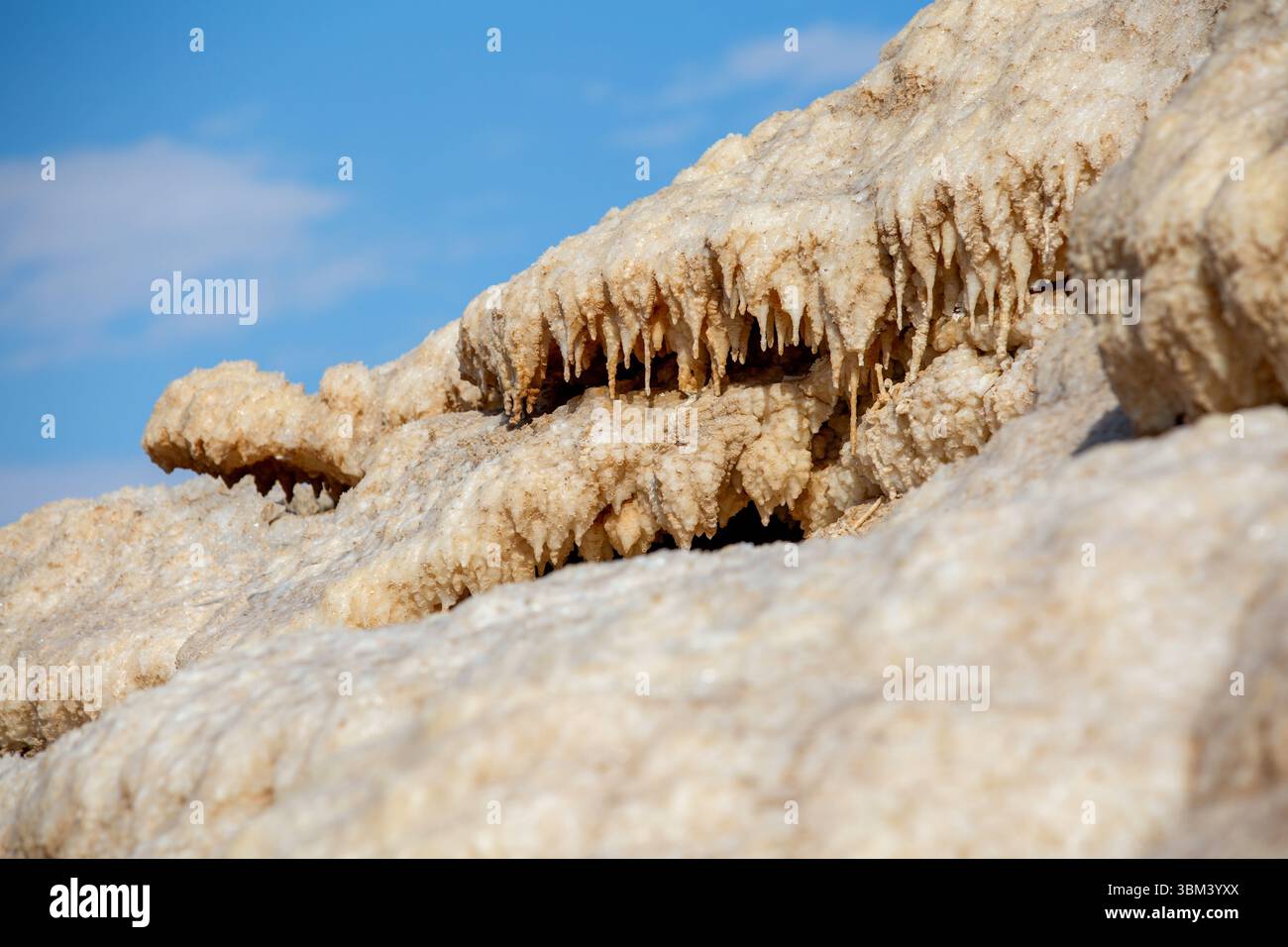 Natural salt stalactites crystals at the Dead Sea, lowest point on ...