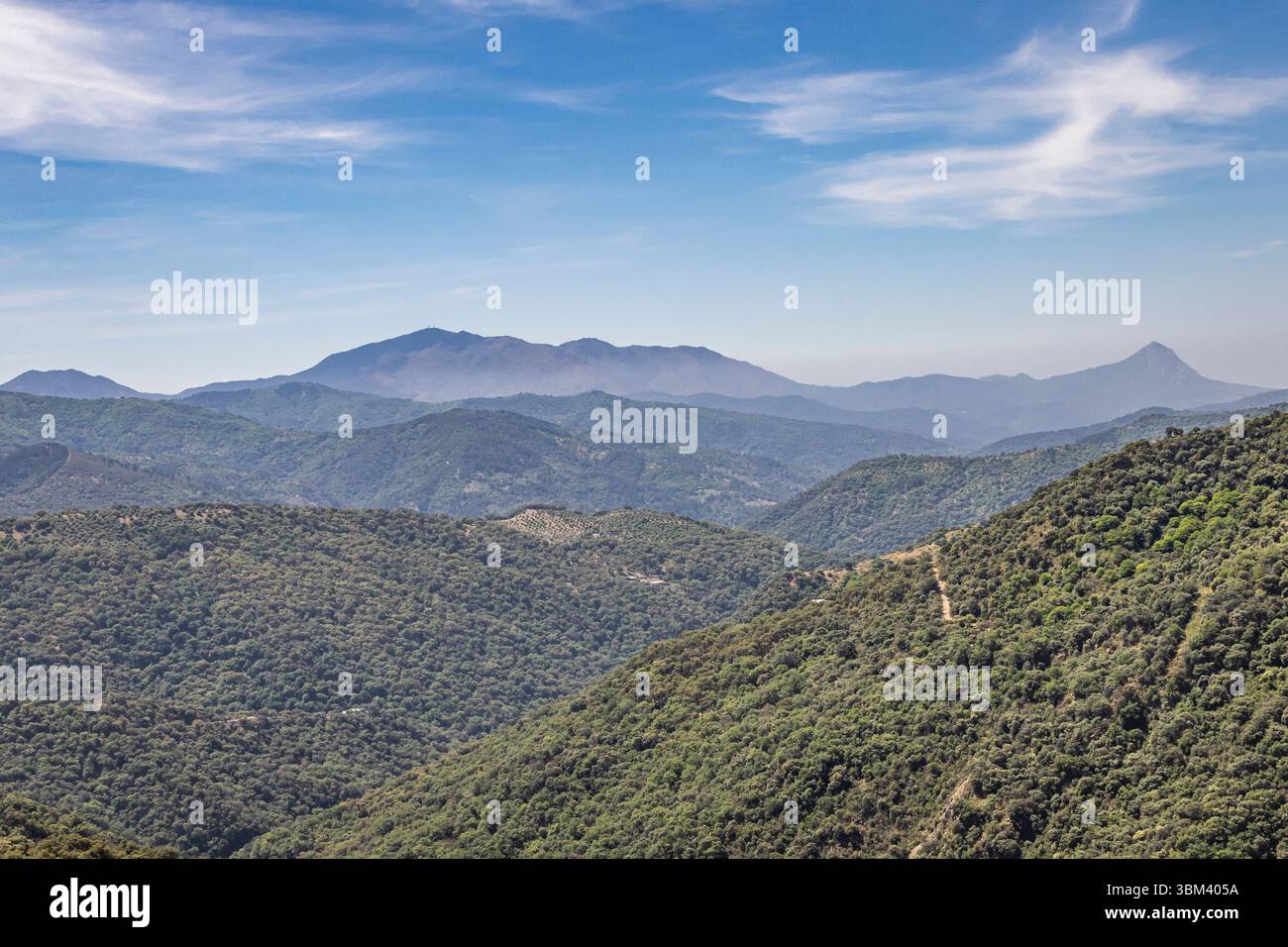 Algatocin, Malaga, Andalusia, Spain. View of the Los Reales de Sierra ...