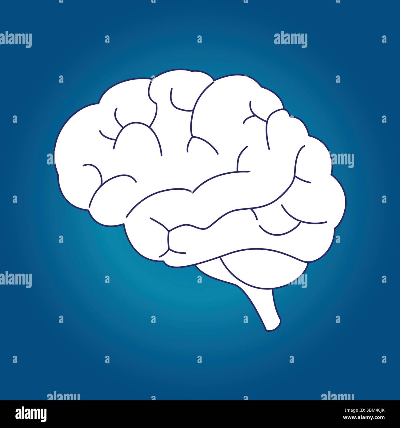 Human head brain infographic design hi-res stock photography and images ...