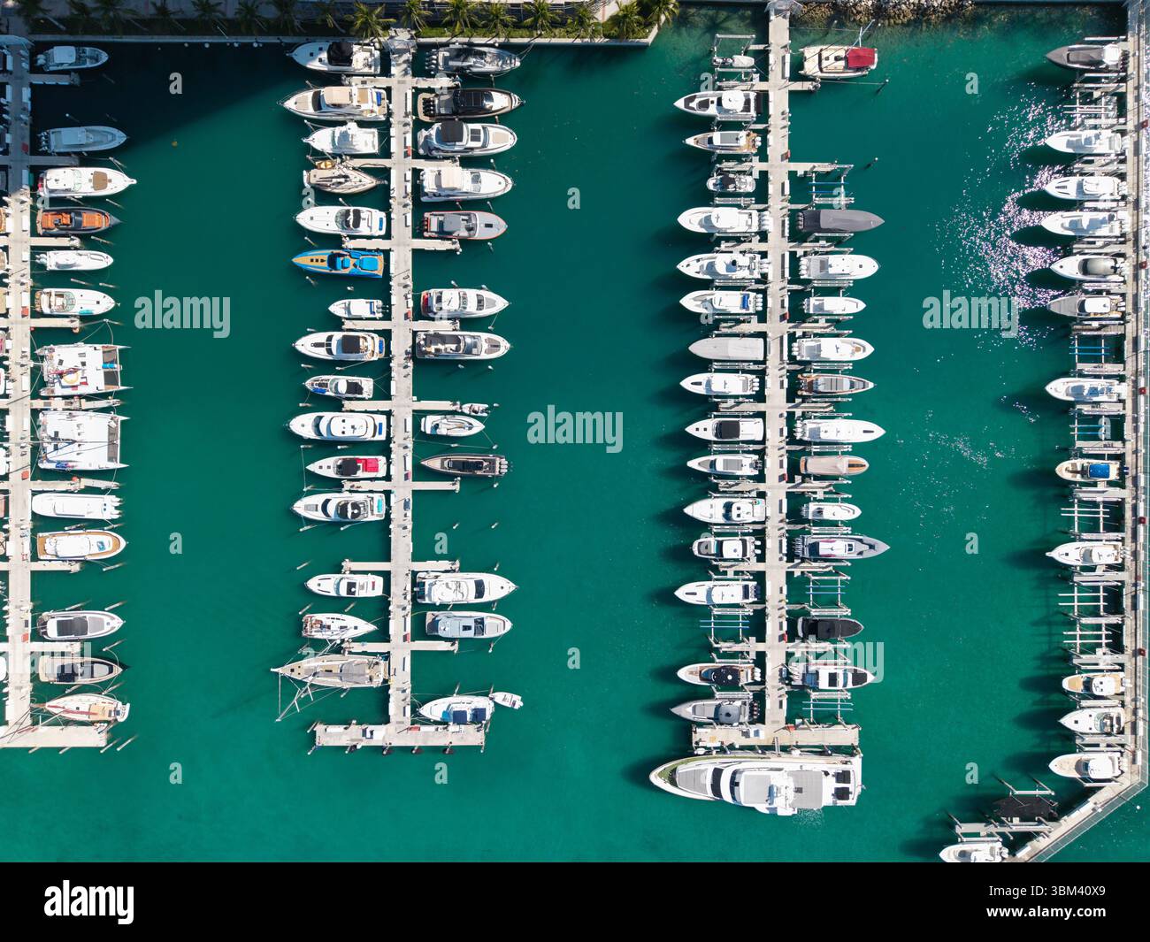 Aerial view of luxury yachts docked at marina. Top-down drone shot of ...