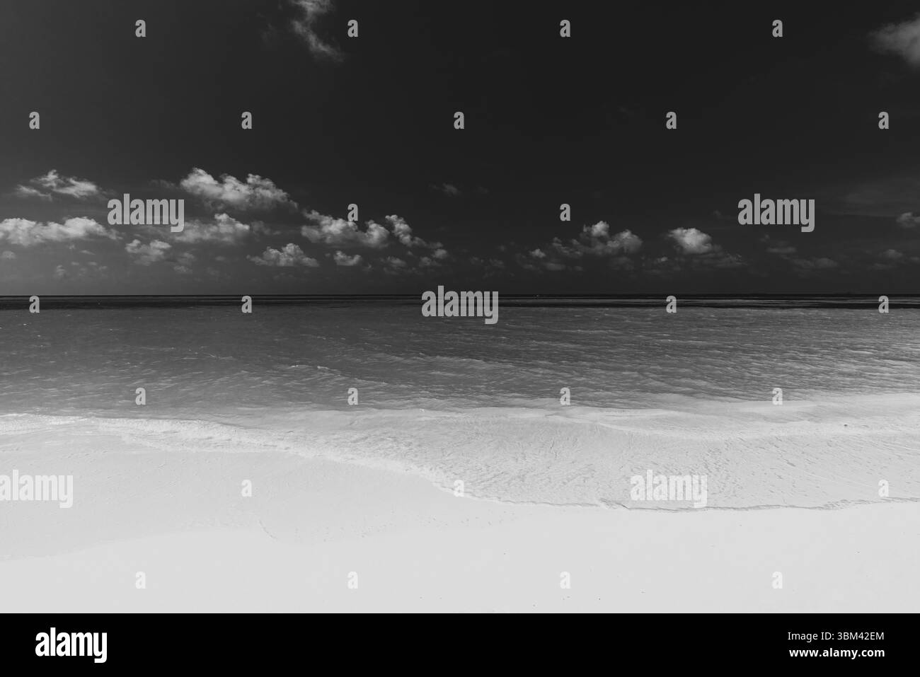 Bright natural tones Black and White Stock Photos & Images - Alamy