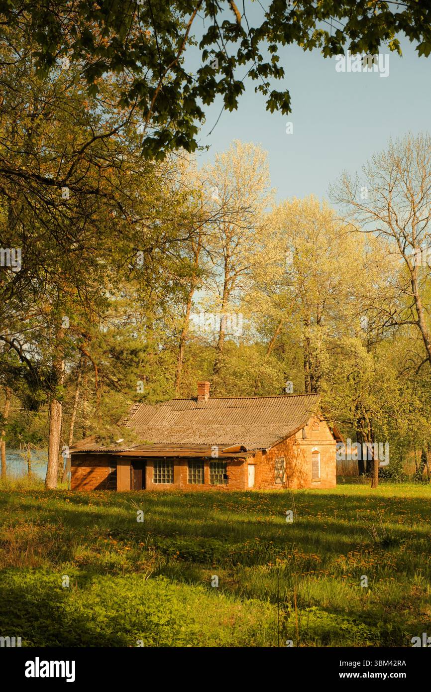 Vintage house surrounded overgrown hi-res stock photography and images ...