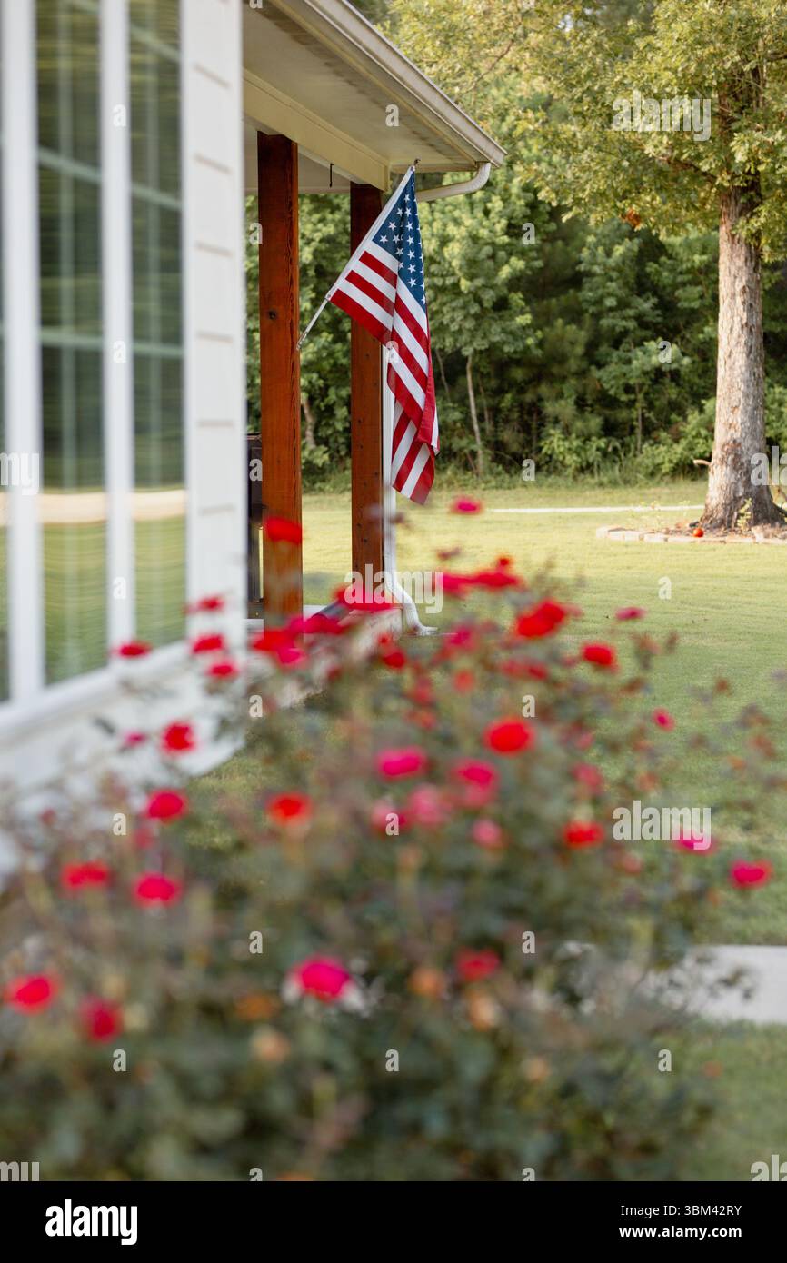 Us american flag roses hi-res stock photography and images - Alamy