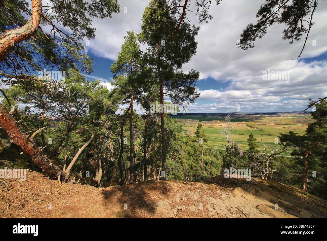 Forest edge overlook with open view across a green valley under a sky ...