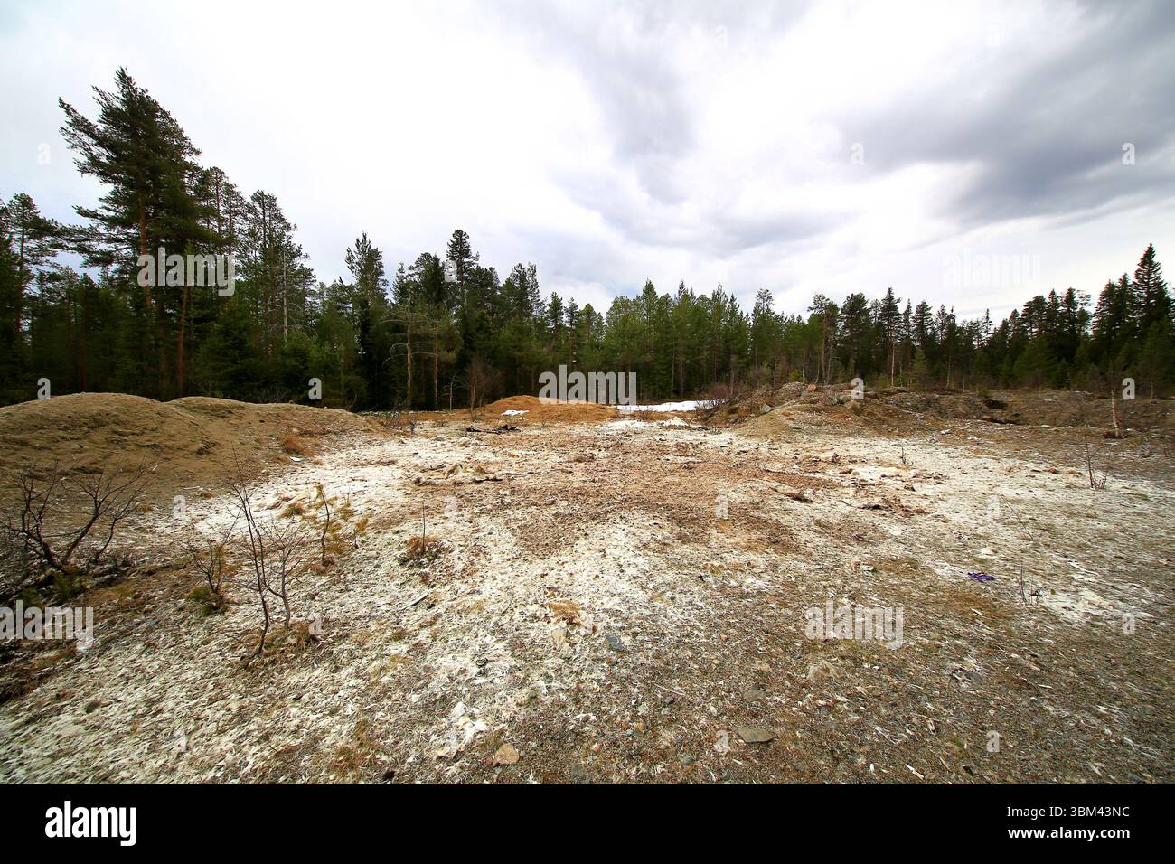 Open gravel clearing edge hi-res stock photography and images - Alamy