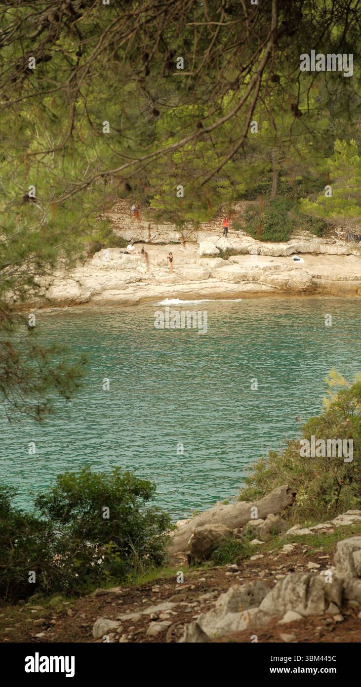 Nature scene beach rocky coastline hi-res stock photography and images ...