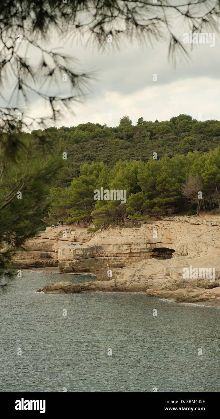 Nature scene beach rocky coastline hi-res stock photography and images ...
