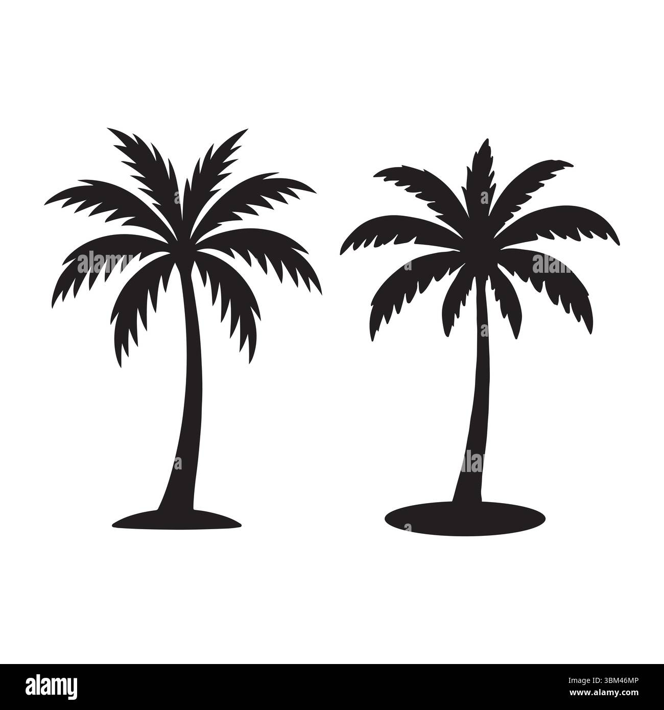Coconut palm tree clipart hi-res stock photography and images - Alamy