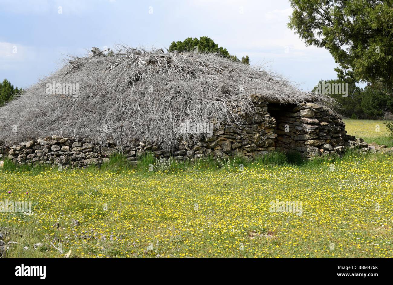 Chozón sabinero (shepherd's hut) built with spanish juniper (Juniperus ...
