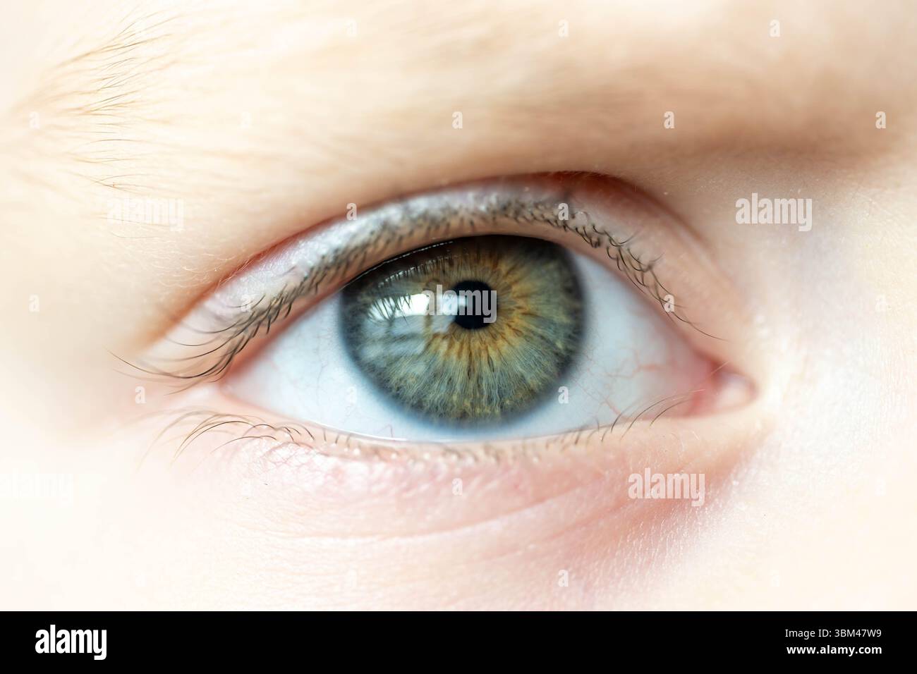 Description: Child's Blue Green Brown Colored Eye with Window ...