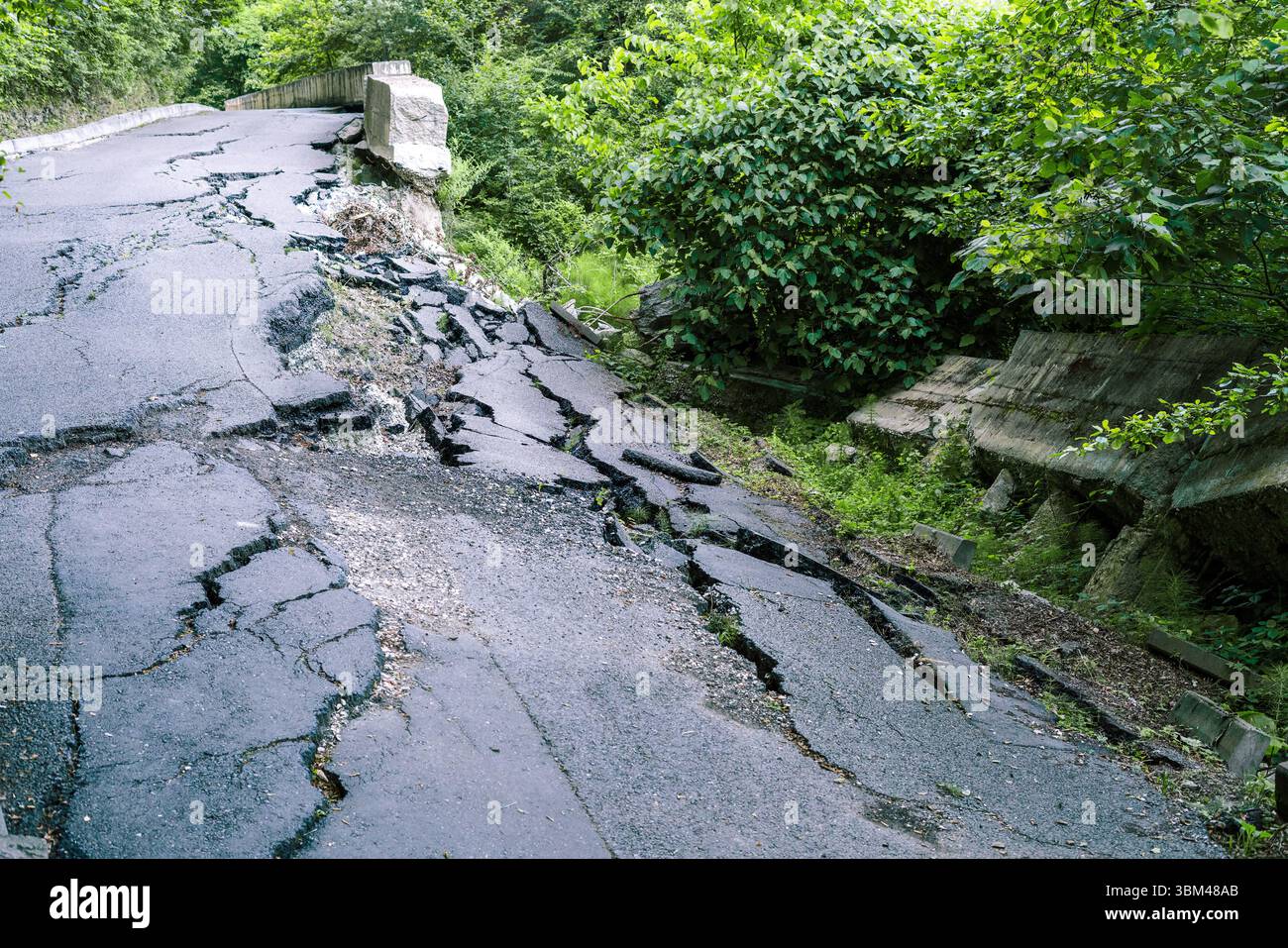 Damaged asphalt road with deep cracks and overgrown vegetation ...