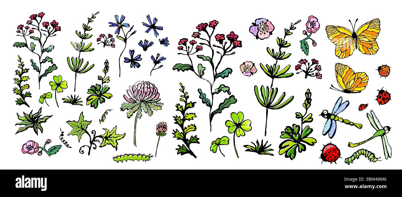 Set of flowers and insects. hand drawn. Not AI, Vector illustration ...