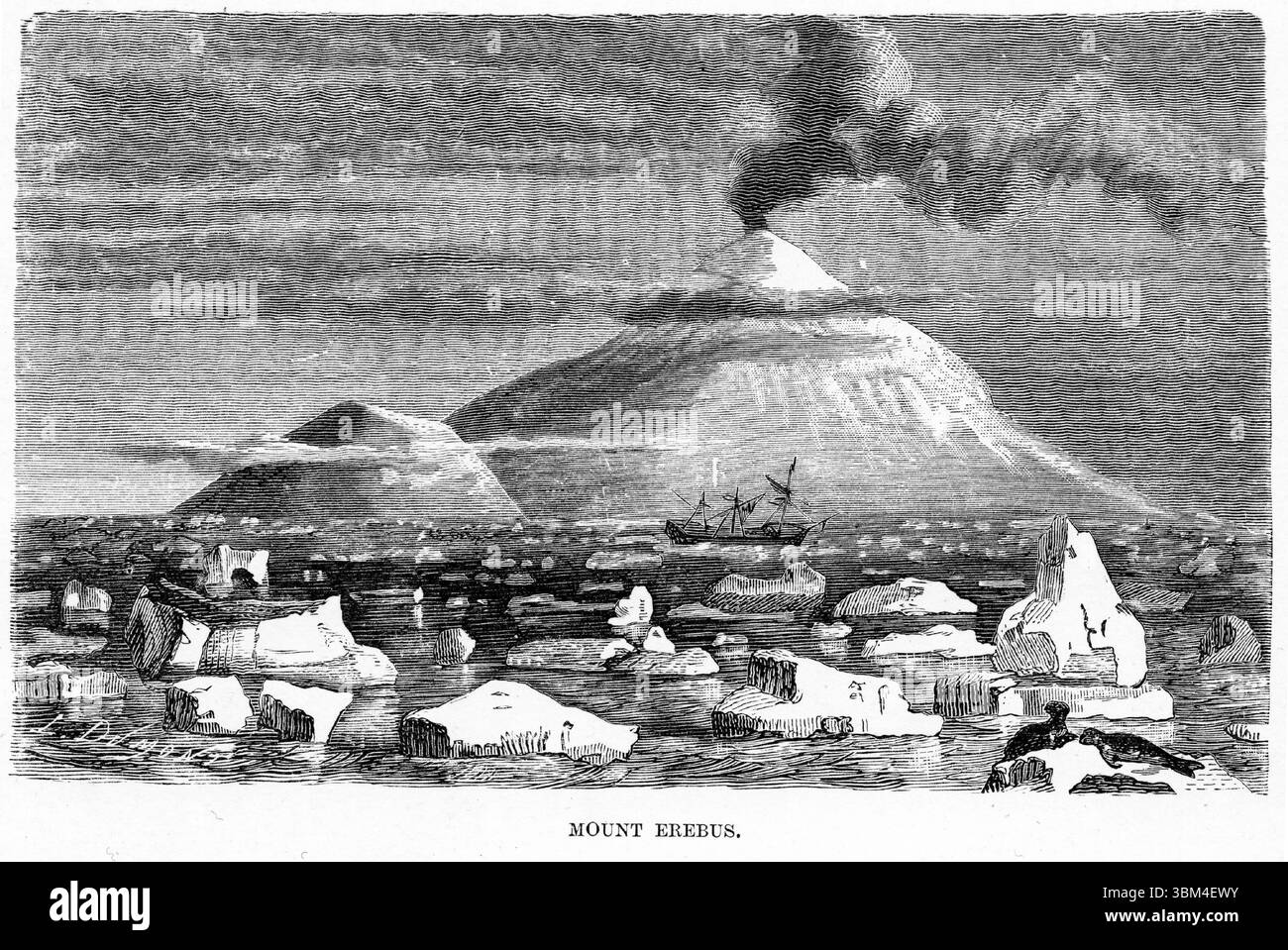 Natural beauties nature Cut Out Stock Images & Pictures - Alamy