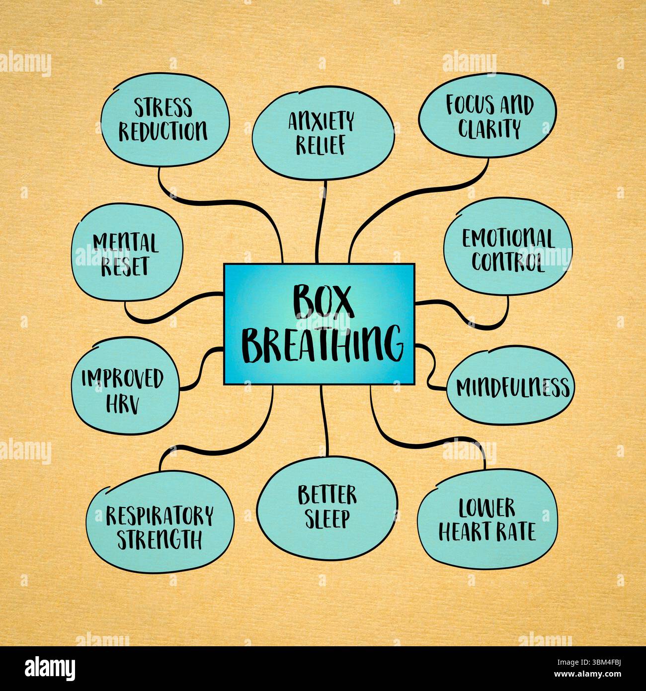 Box or square breathing - a simple but powerful breathwork technique ...