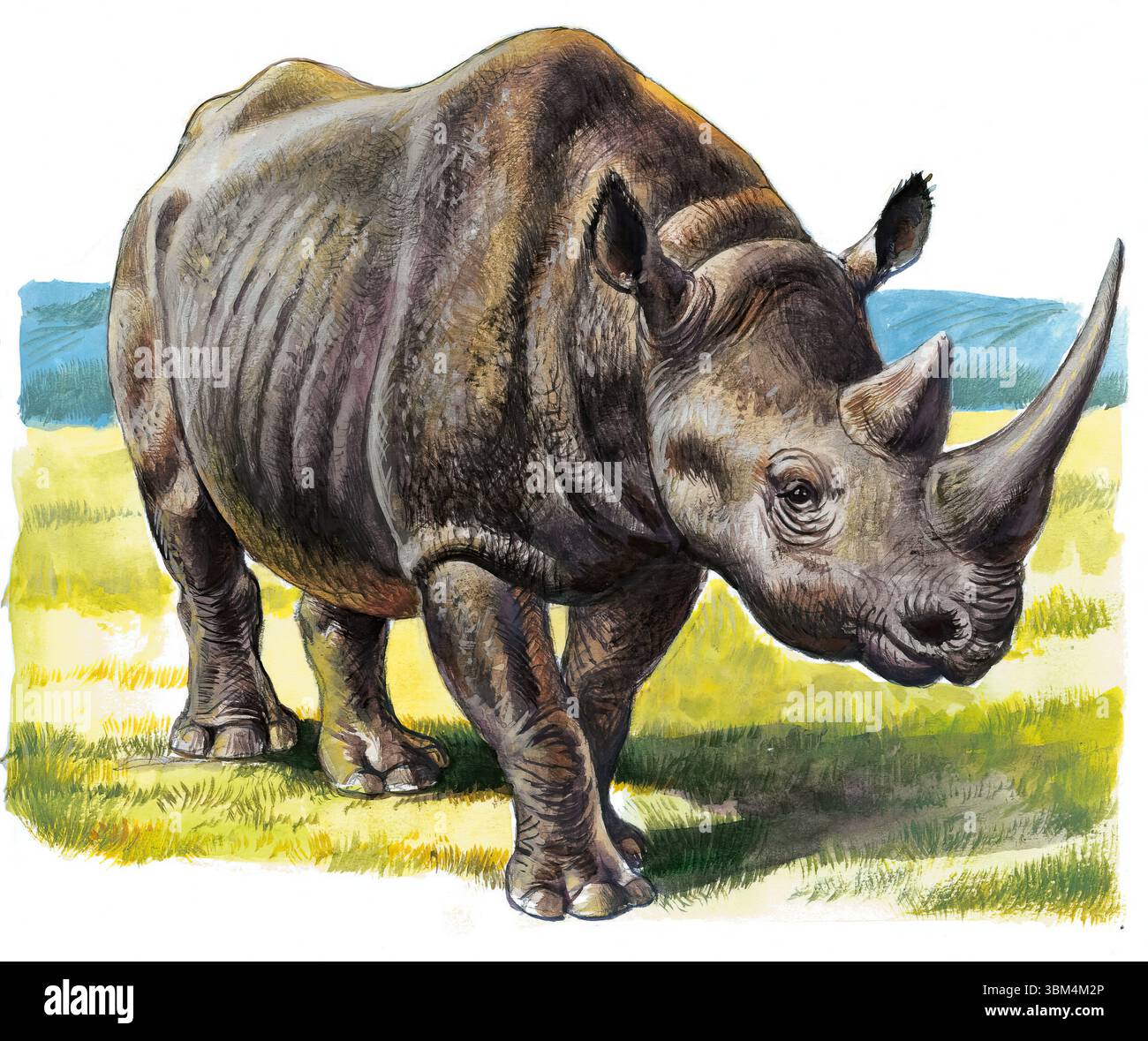 Illustration of a black rhinoceros walking in the savanna with ...