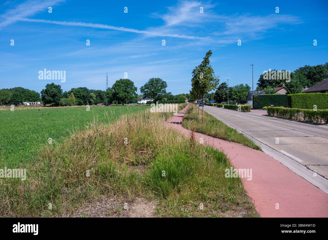 Agriculture field and cycling path at the Flemish countryside in ...