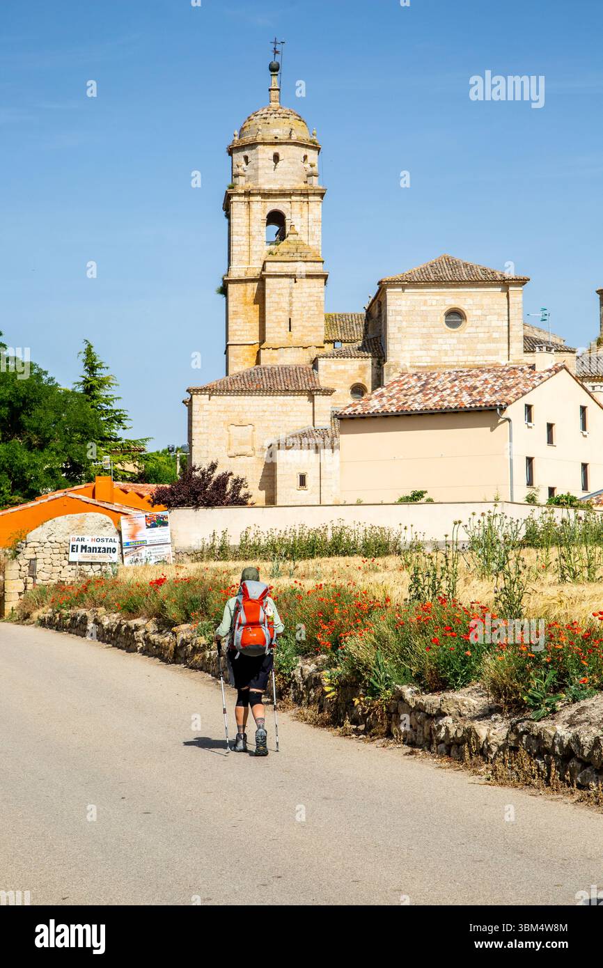 Pilgrims walking the Spanish Camino de Santiago the way of St James ...