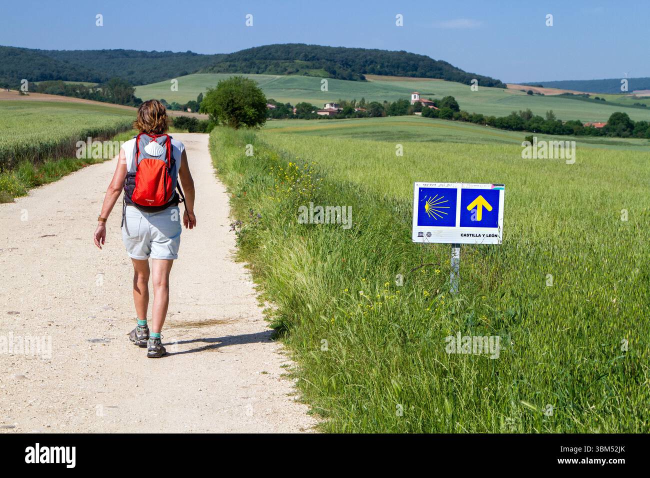 Woman pilgrim walking the Camino de Santiago the way of Saint James ...
