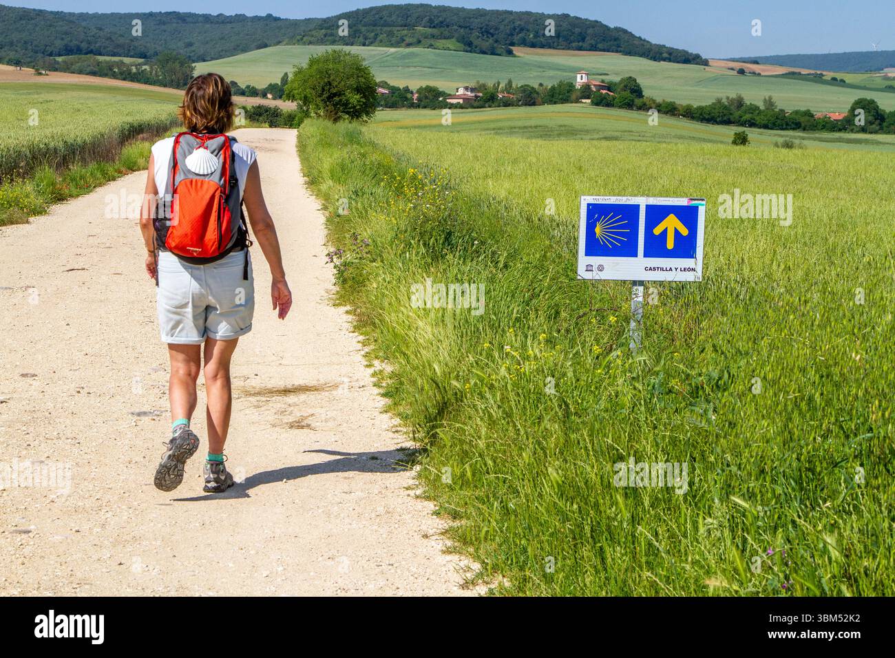 Woman pilgrim walking the Camino de Santiago the way of Saint James ...