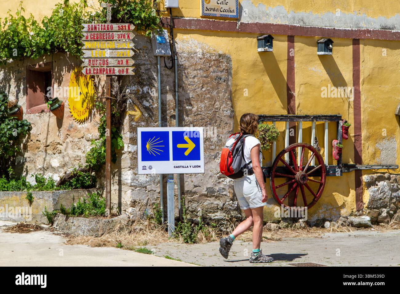 Woman pilgrim walking the Camino de Santiago the way of Saint James ...