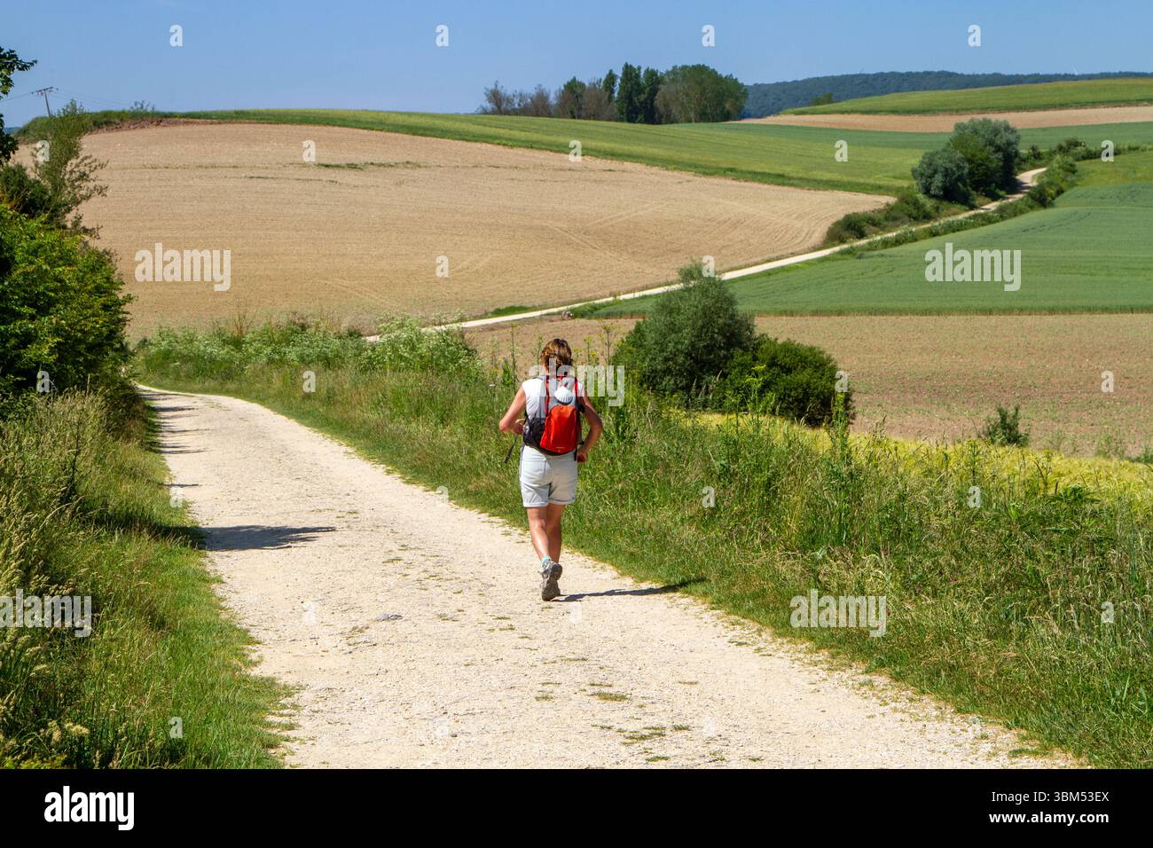 Woman pilgrim walking the Camino de Santiago the way of Saint James ...