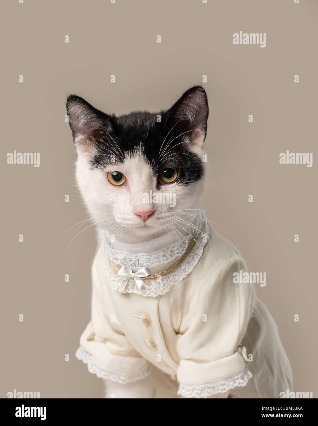 Cat costume vintage hi-res stock photography and images - Alamy