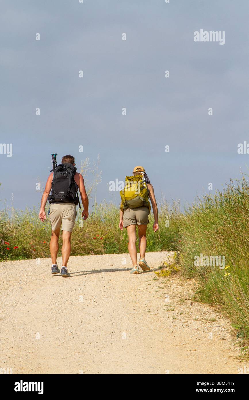 Pilgrims walking the long distance footpath the Camino de Santiago, the ...